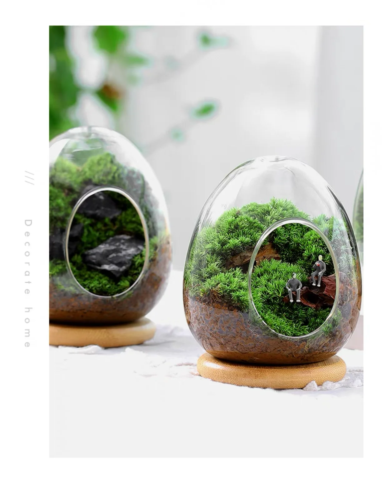 Plant Terrarium Glass Vase Home Decor Oval Glass Painting Mouthblown ...