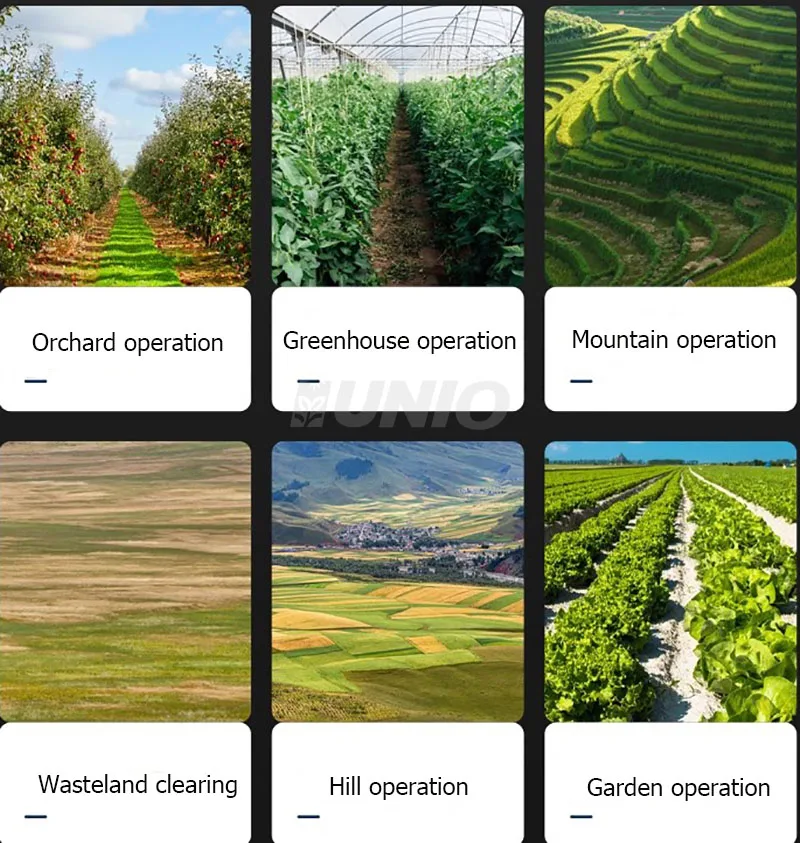 Rotary Hoe Tiller Cultivator - High Productivity Farm Machinery