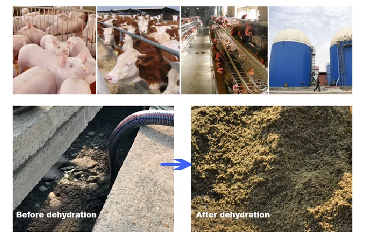 Cow Dung Extractor Farm Manure Dewatering Machine Cow Dung Dewatering ...