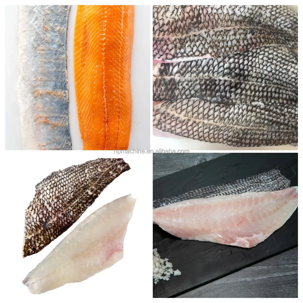 Seafood Skin Removing Machine Tilapia Skin Removing Machine Desktop ...