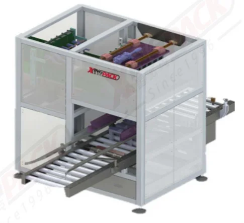 Mr230 Two-axis Robot Automatic High Speed Servo Case Packer - Buy Robot ...