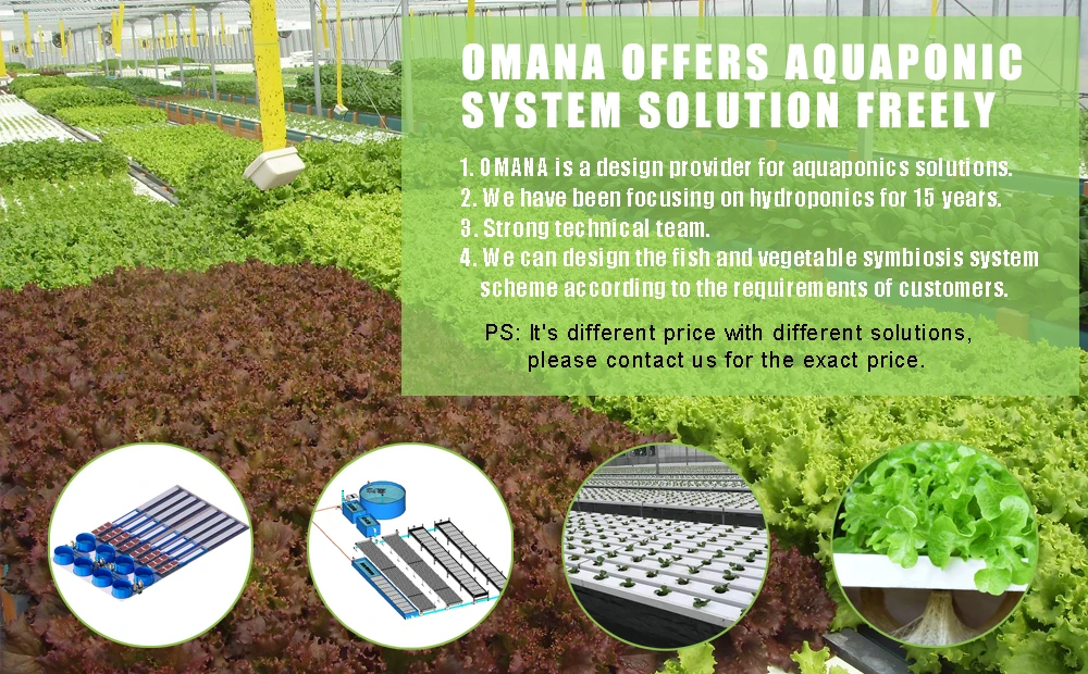 Omana Aquaponic Growing Systems Aquaponics System Farm Aquaponics ...