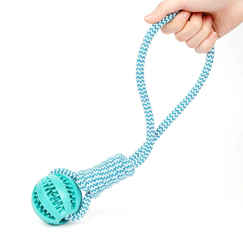 2023 Hot Sale Dog Chew Tooth Cleaning Toy Tpr Dog Toy Ball Interactive ...