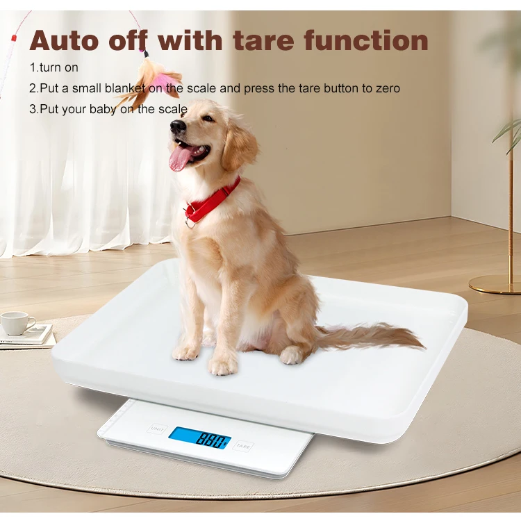 Veterinary Equipment Small Animal Pet Scale 20kg High Quality 2 Tray ...