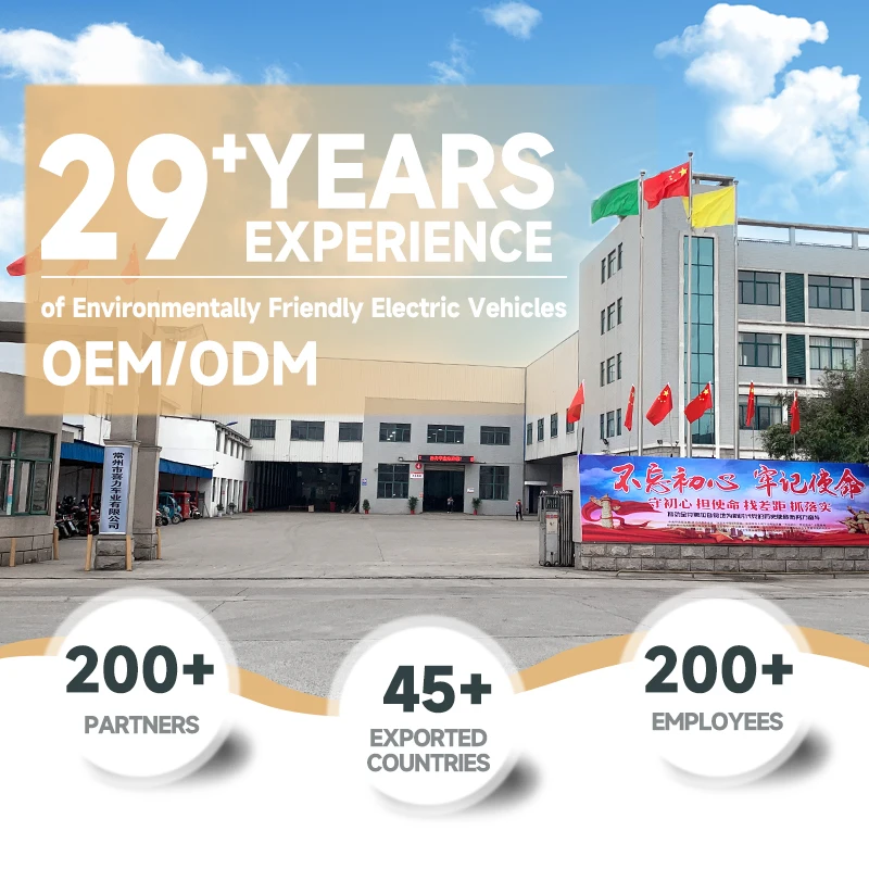 Changli 2025 High Motor Four-Wheel Mini Electric Car for Adults