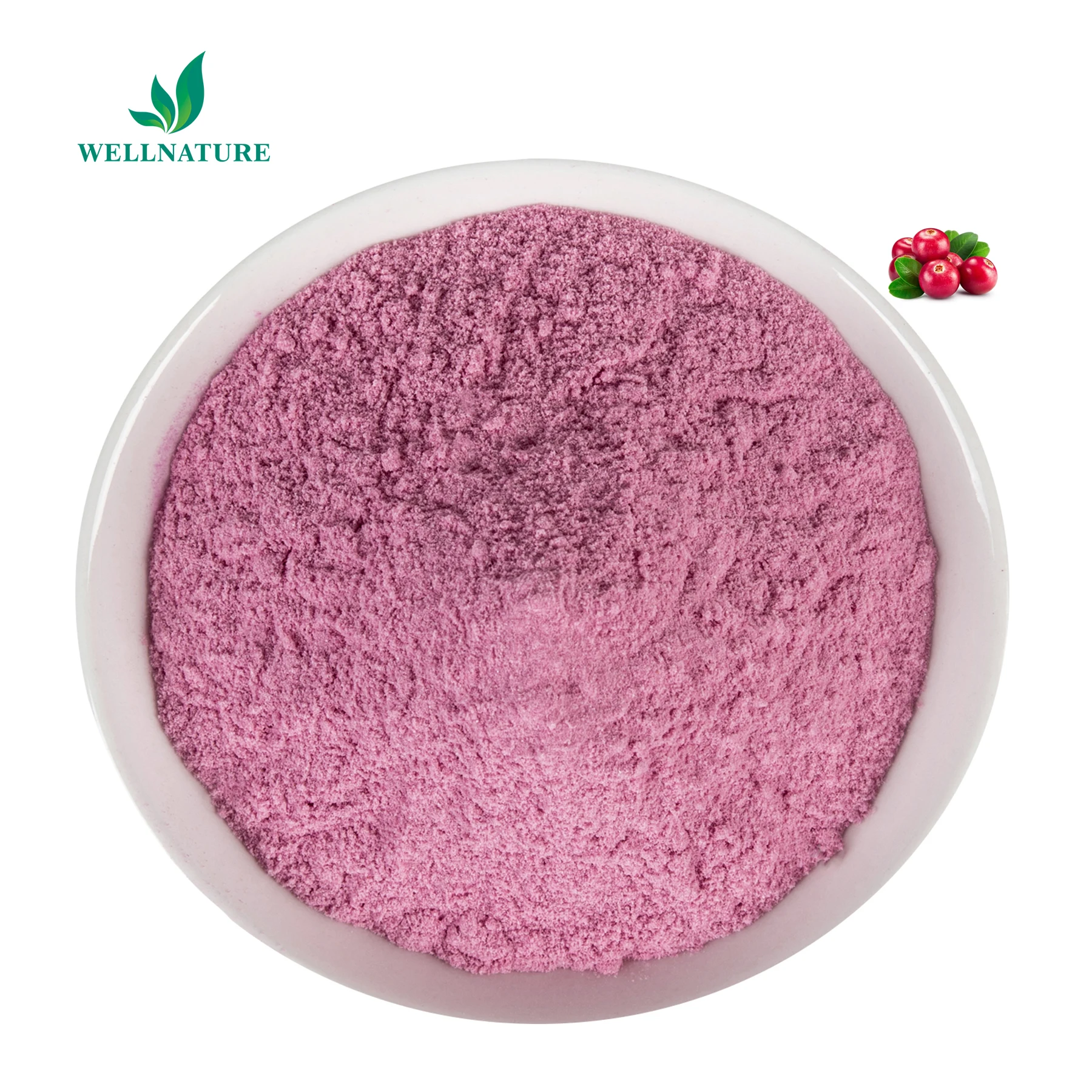 Factory Price Cranberry Extract Proanthocyanidins Healthy Fruit Powder ...