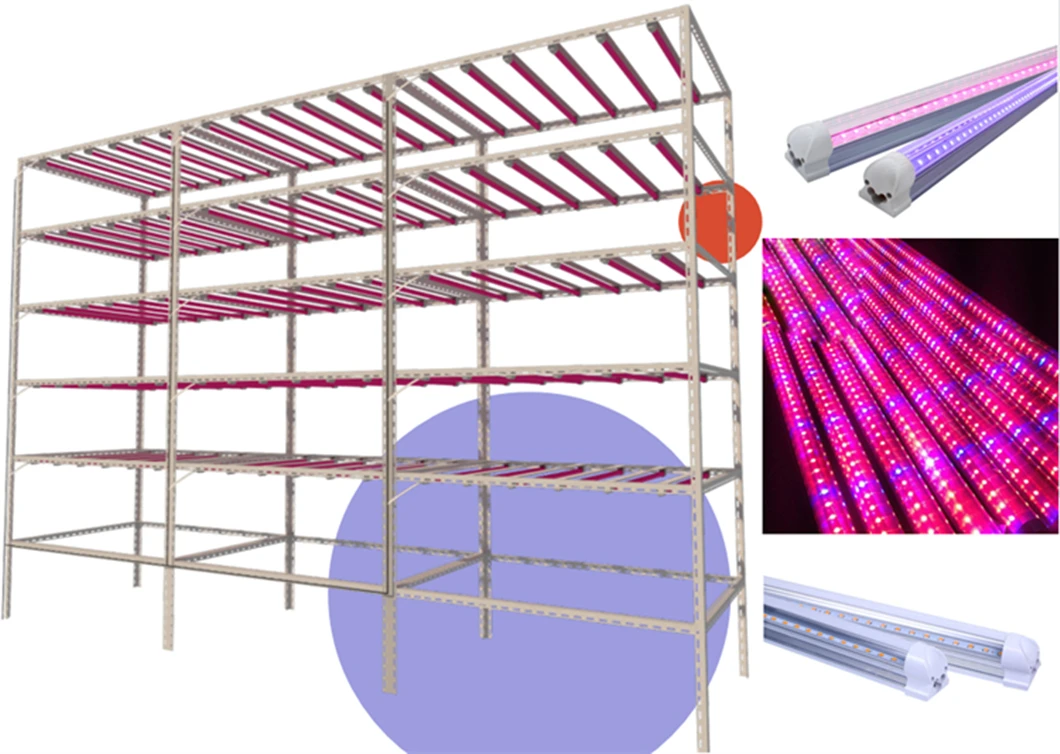 Vertical Farming Racks Grow Racks System For Indoor Hydroponic - Buy ...