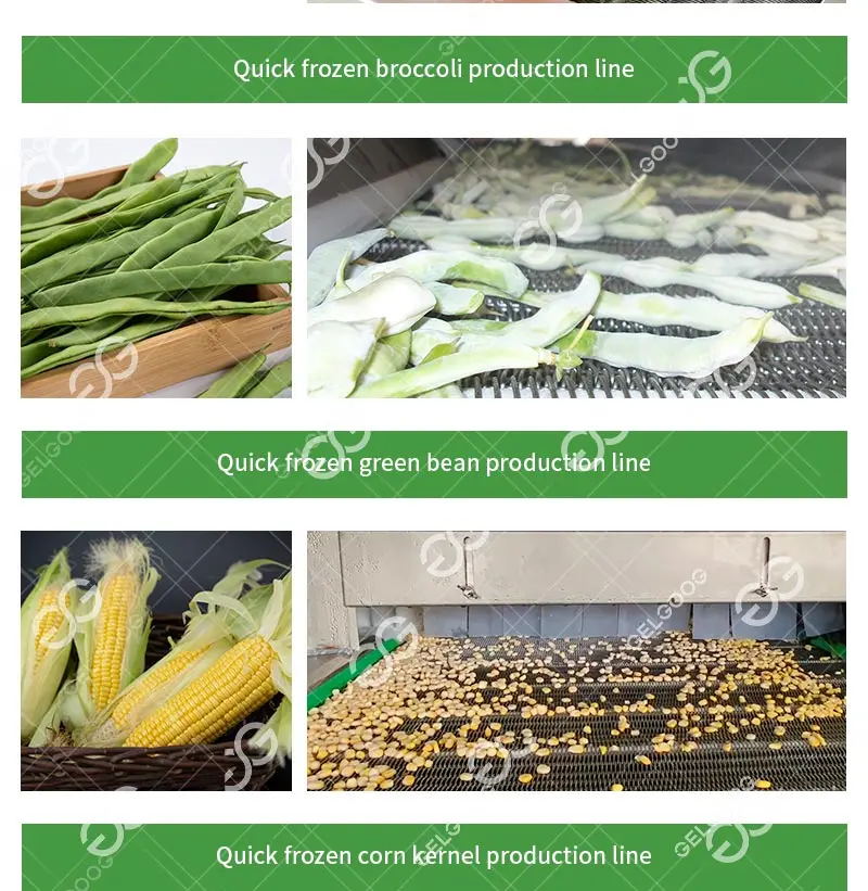 Iqf Frozen Fruit Grading Line Frozen Banana Making Processing Machine Iqf Vegetables And Fruits ...