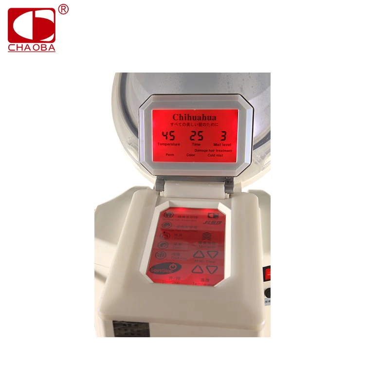 6 In 1 Ionic Ultrasonic Micro Mist Hair Steamer Ozone With Caps - Buy ...