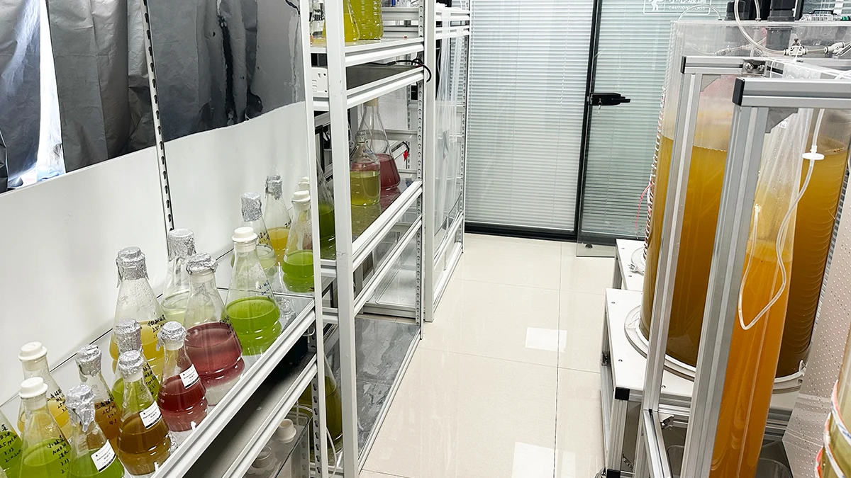 Company Overview - Hetchyn Biotechnology Co. Ltd
