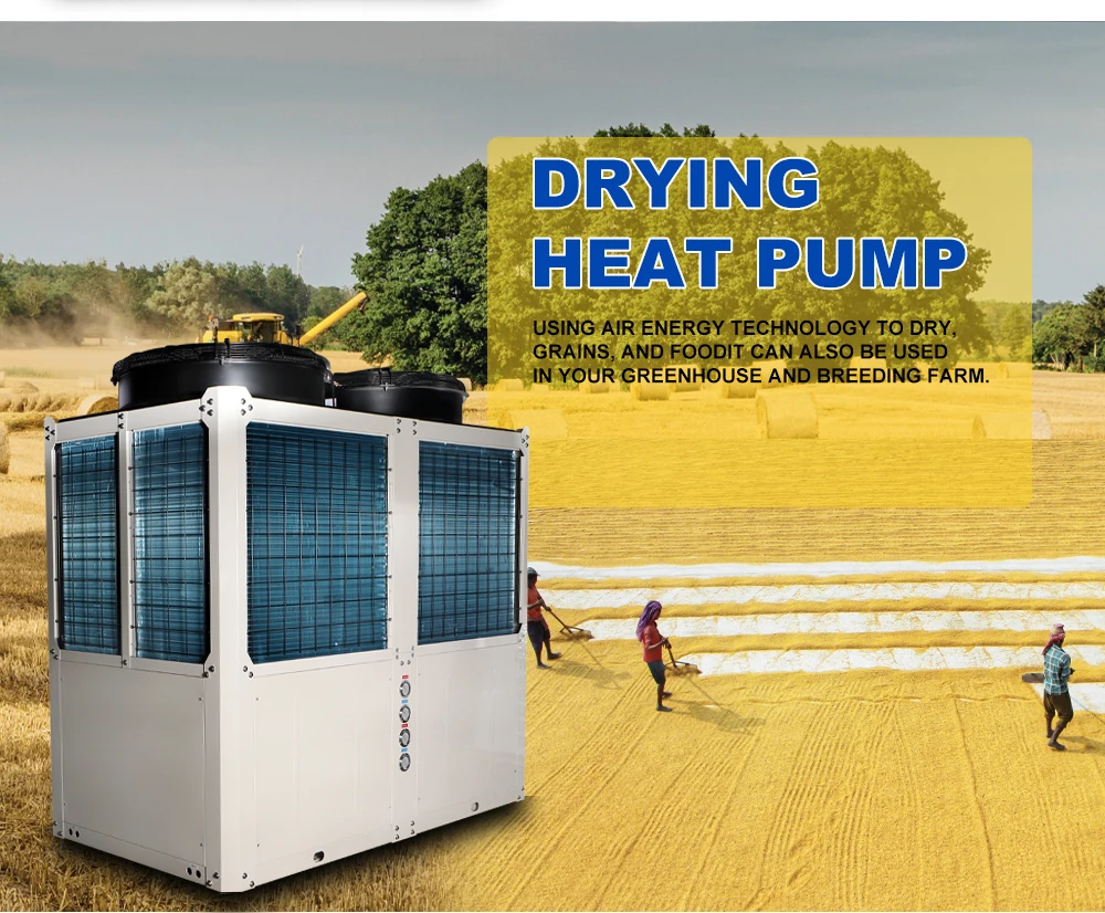 New Industrial Heat Pump Fish Food Pasta Tray Dryer Price Meat Biltong ...