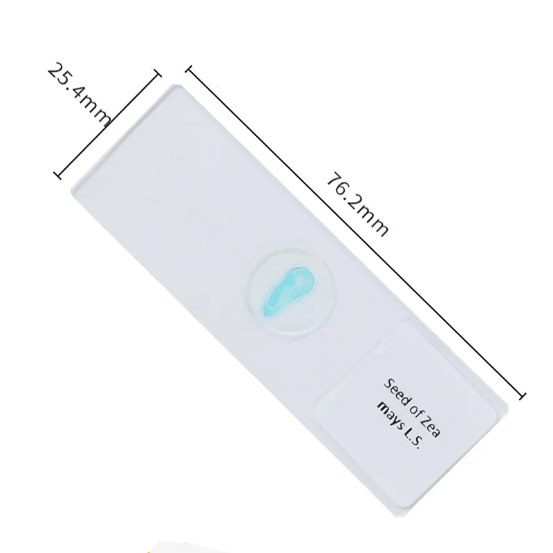 Factory Biology Prepared Slides Set Glass Prepared Microscope Slide for ...