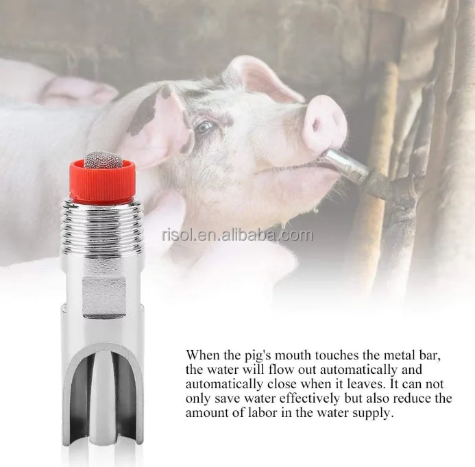 Stainless Steel Automatic Fountain Piggy Drinking Tool Sow Swine ...