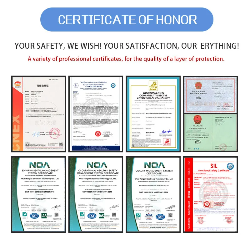 ATEX Explosion-Proof LPG Natural Gas Leak Detector CH4