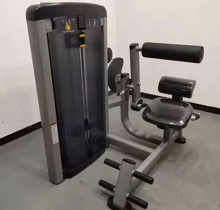 Seated Abdominal & Back Extension Trainer Pin Loaded Metal Gym ...