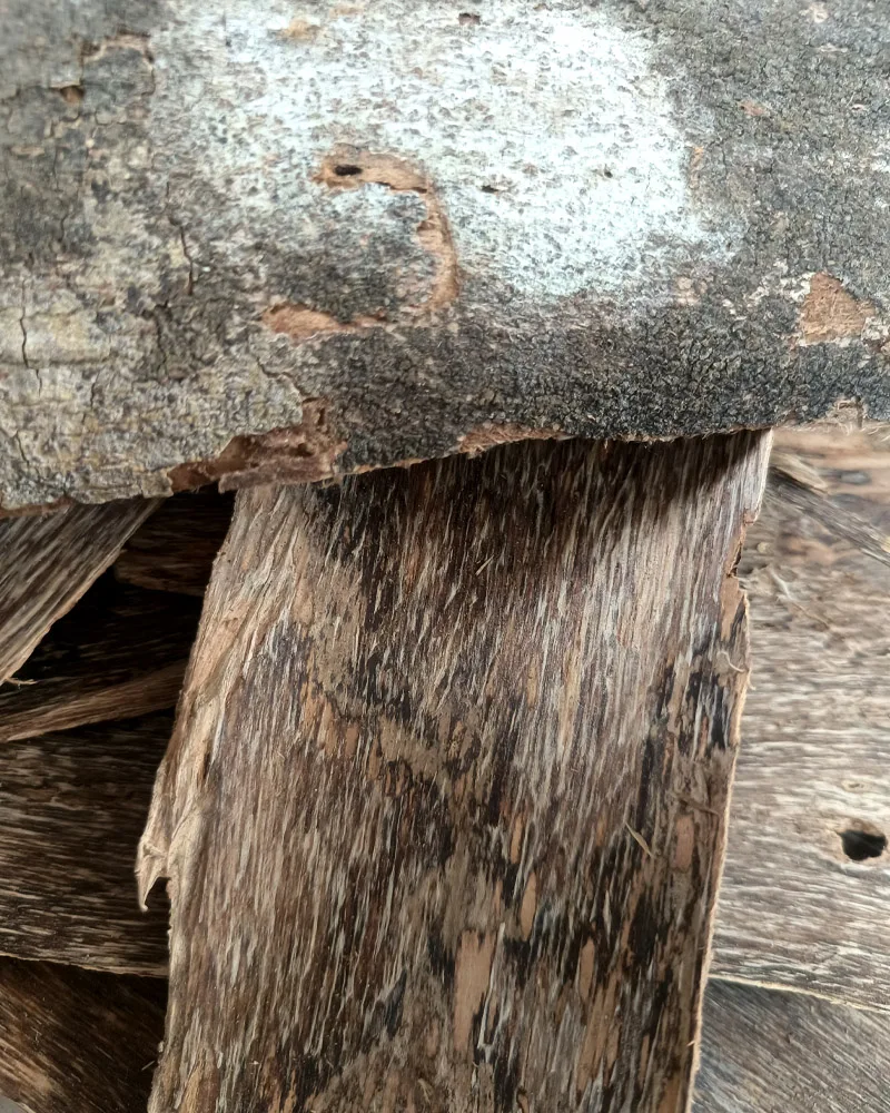 Agarwood Bark High Quality Insect-eaten Agarwood From China - Buy ...