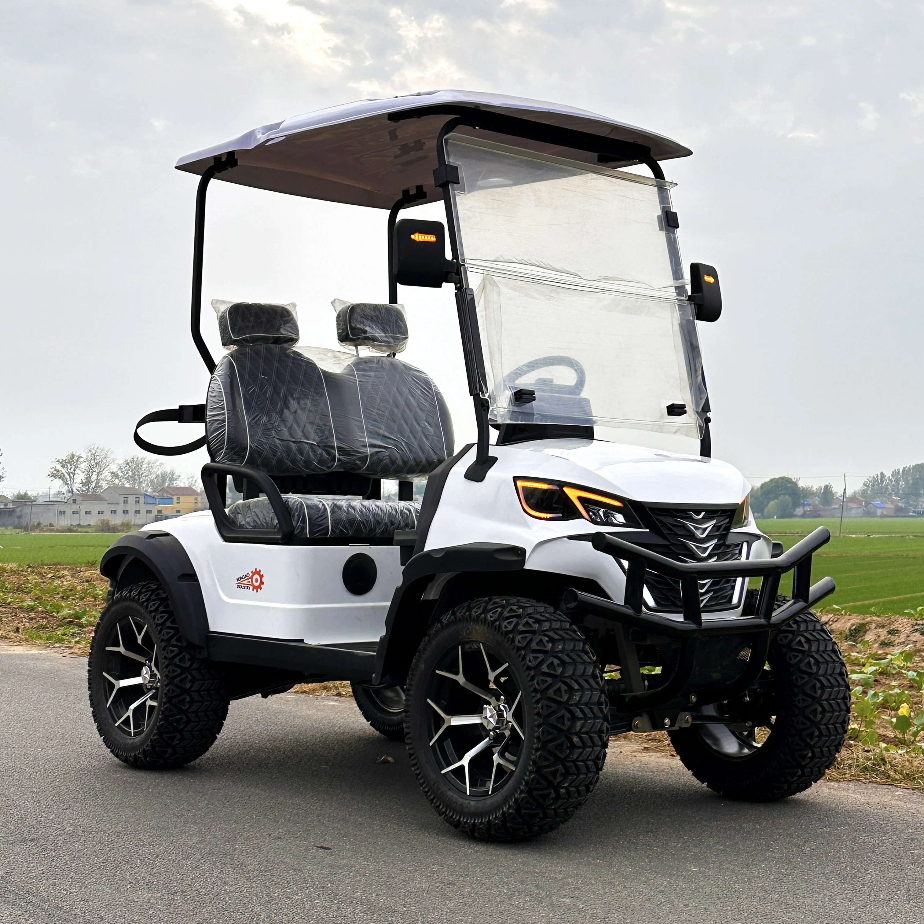 2 Seater Electric Golf Cart - 48V Lithium Battery 80km Range
