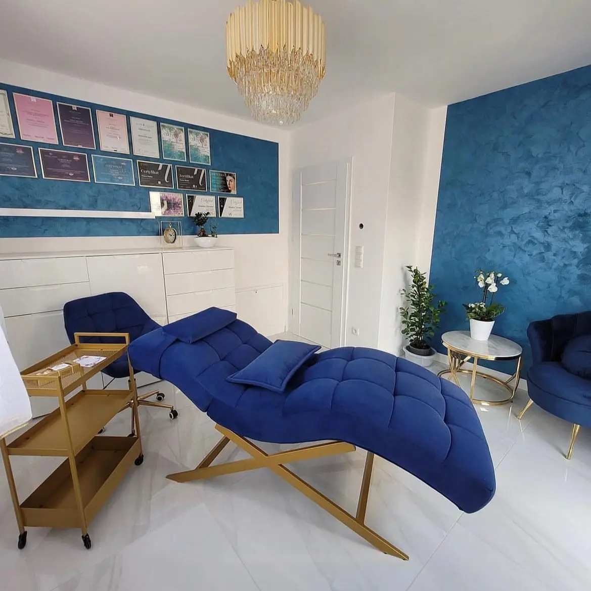 Modern Beauty Salon Furniture - Professional Massage Bed