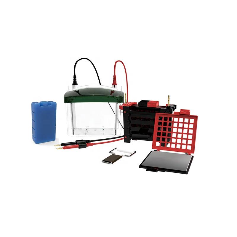 Transfer Electrophoresis Tank Wbg-zy04 - Buy Vertical Electrophoresis ...