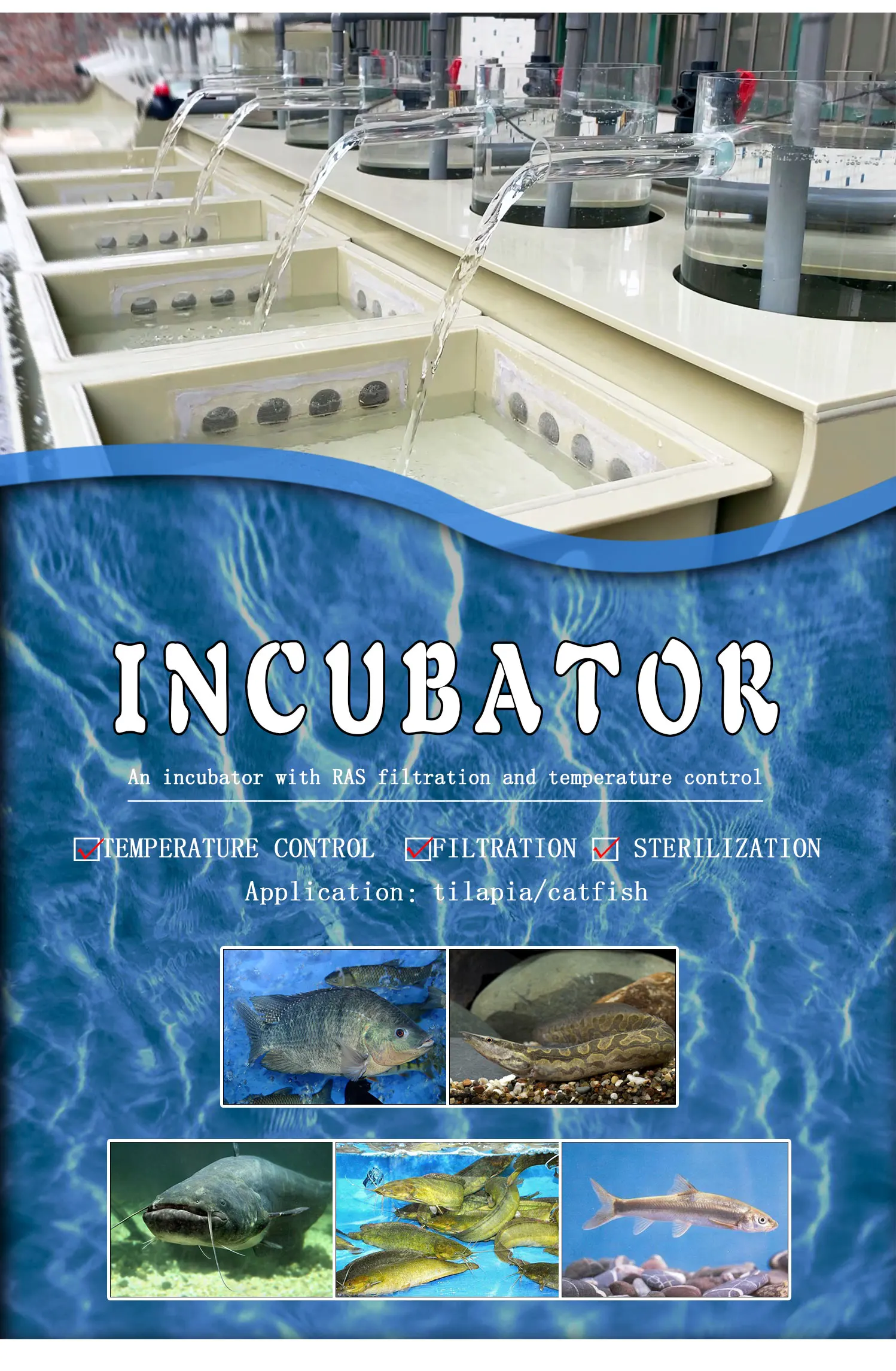 Z.K.AQUA Small RAS System Incubator for Tilapia & Catfish