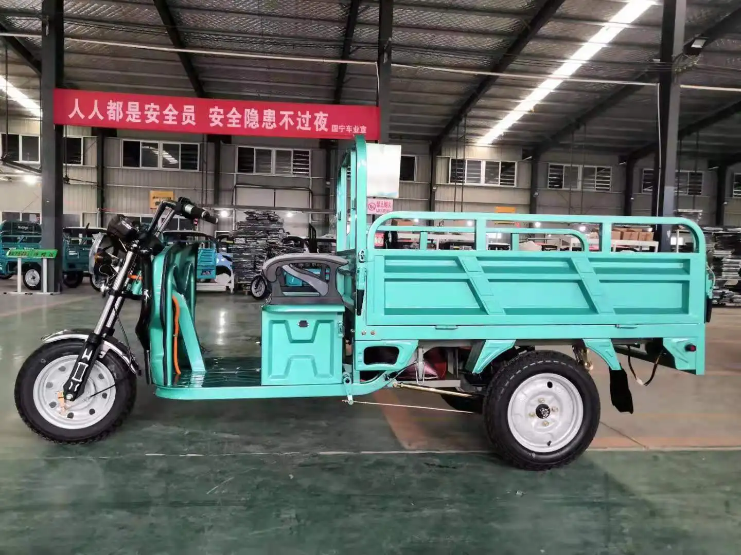 Heavy Duty Electric Cargo Tricycle With Eec,Coc Exporting Germany ...