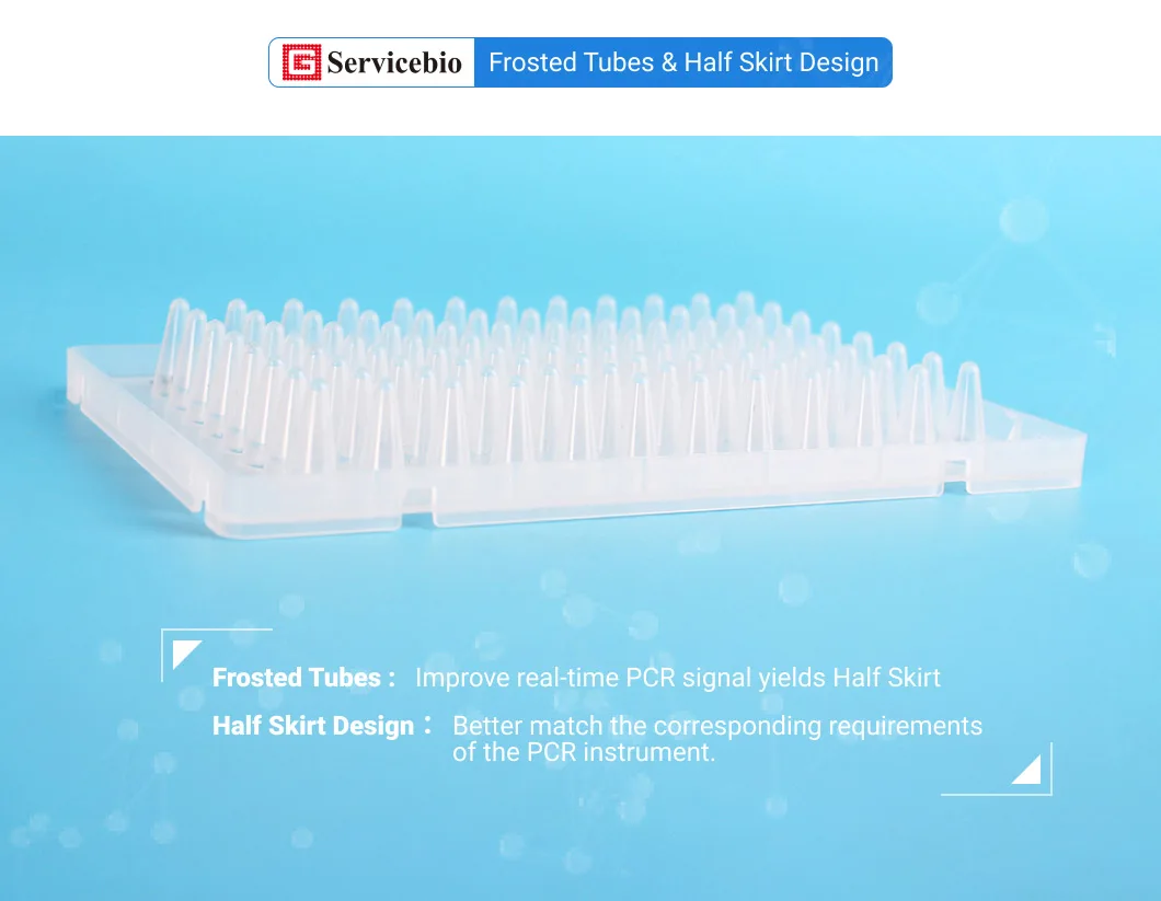 Transparent Lab Sample Support Plastic 96 Well Plate For Research Pcr ...