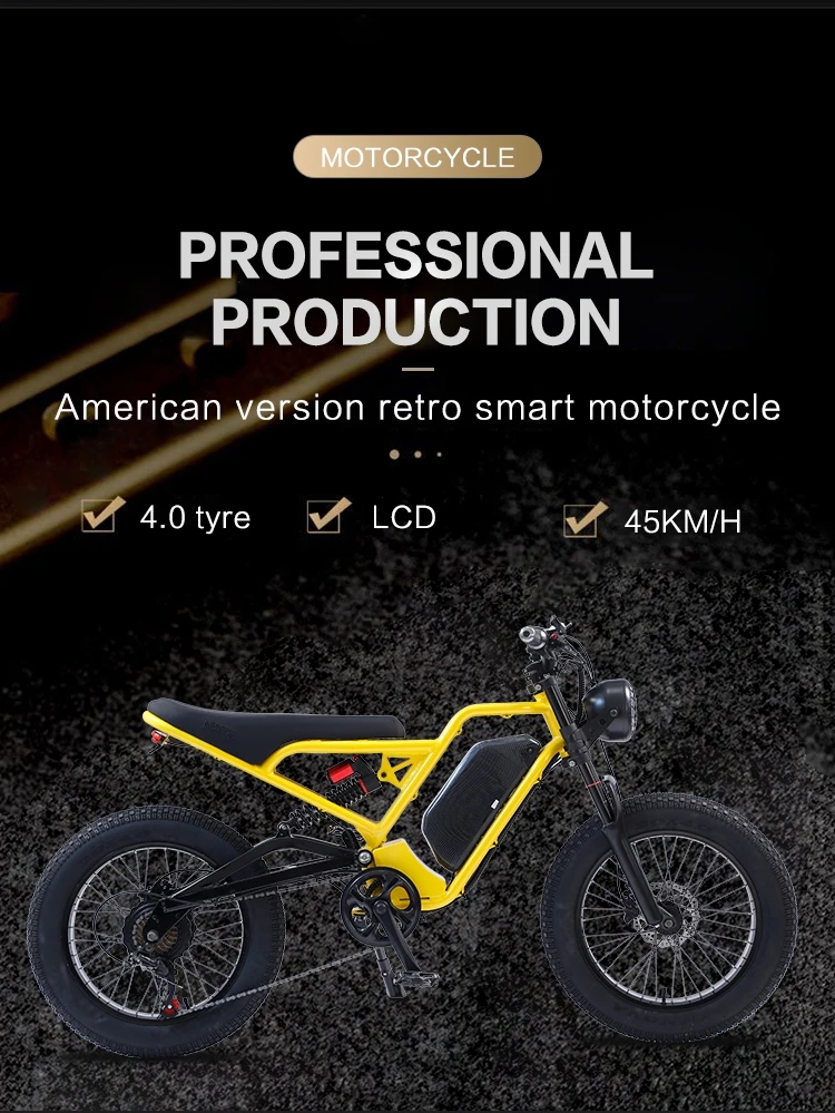 New Style 20inch Fat Tyre Electric Bike 48v 750w 48v 1500w High Power E ...