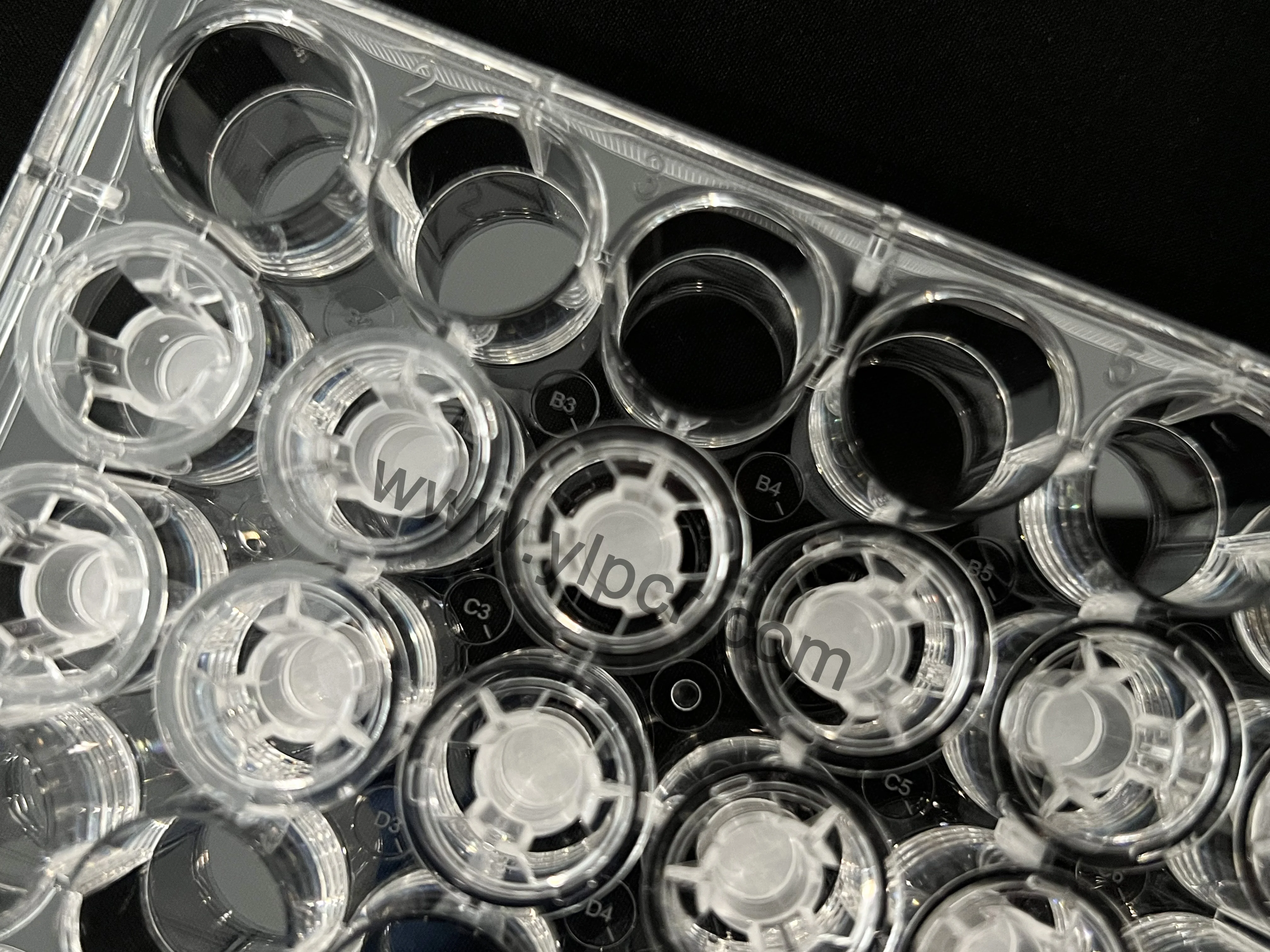 Permeable Cell Culture Inserts,Cell Culture Plate,0.4um Pet Film - Buy ...