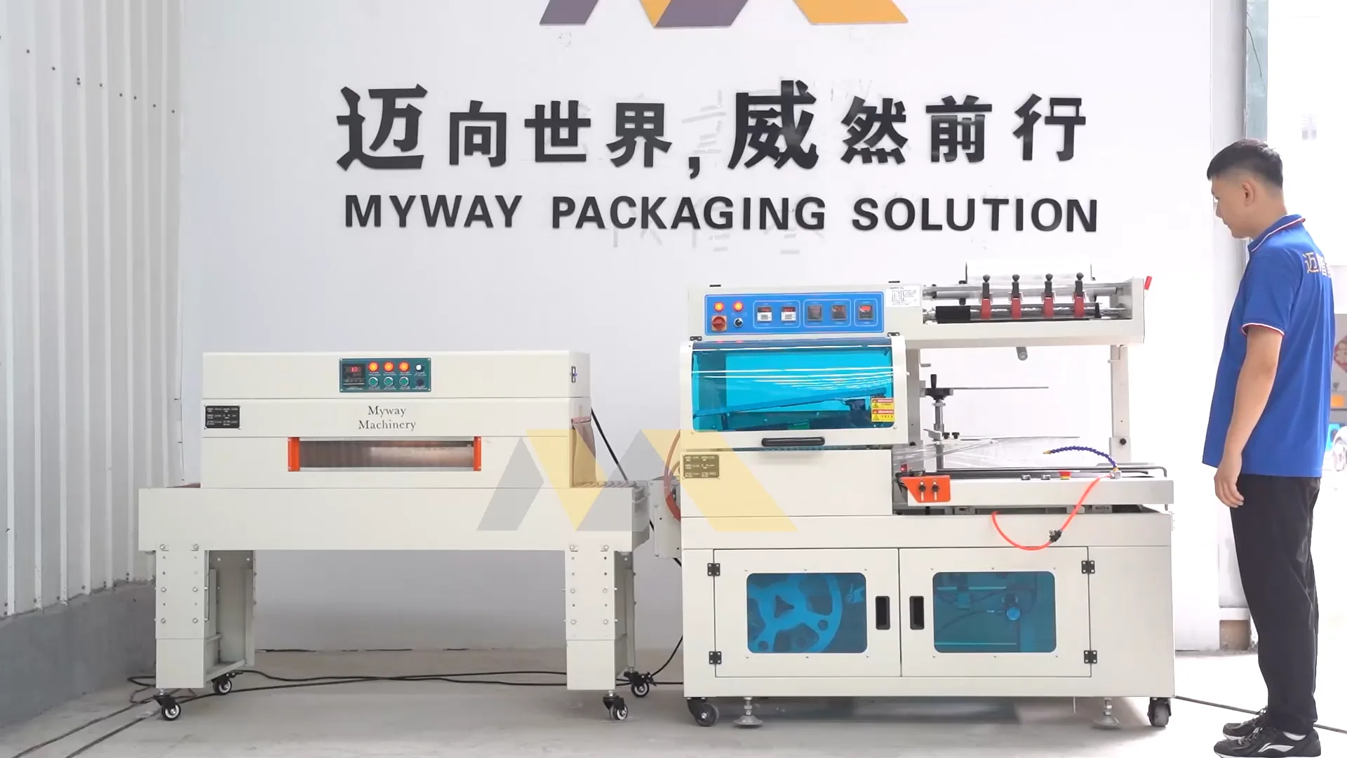 Shrink Pack Machine Fully-auto L Sealer Machine For Tea Box /pof Film Heat Shrink Packing ...