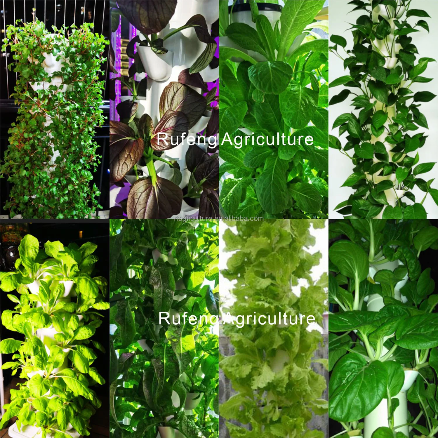 2024 Hydroponic Greenhouse - Vertical Planting System