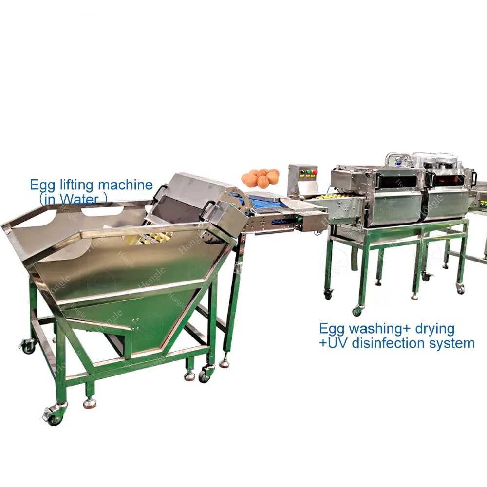 Alibaba.com: Commercial Stainless Steel Brush Eggs Washing and Drying ...
