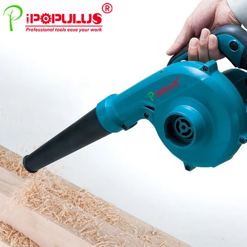 Ipopulus 800w Power Professional Big Air Dust Removal Leaf Blowing ...
