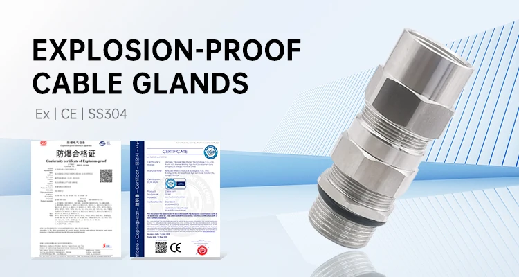 Double Seals Ss304 Armoured Inner-outer Thread Ex Cable Gland Explosion ...