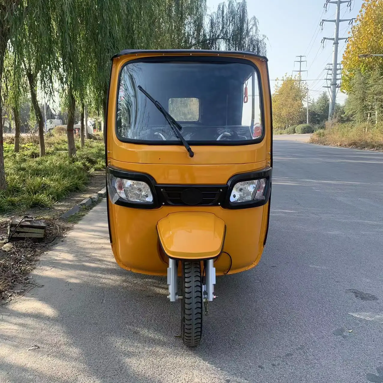 New Arrival 1000W Tvs Motor Tricycle Common for Passenger 3 Wheel Bike ...