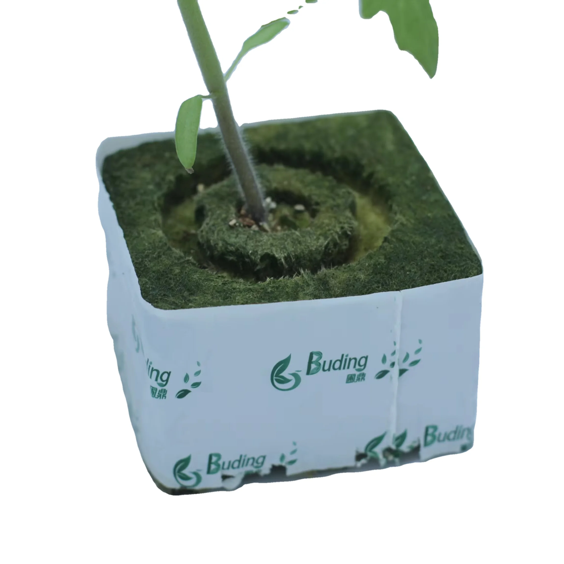 Factory Grow Medium Seed Planting Block Hydroponic 100x100x100mm Grow ...