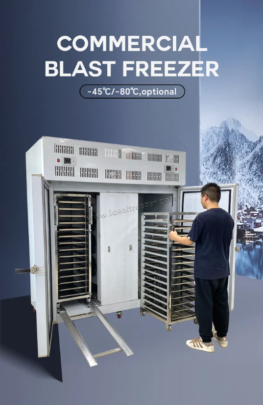 30 Trays Ultra-Fast Freezing - Adjustable Shelves Blast Freezer