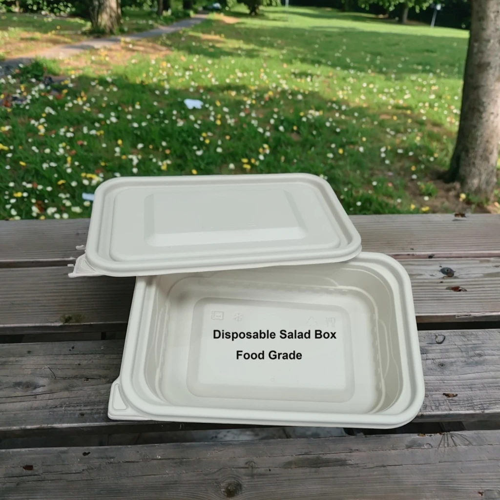 1000ml 750ml 500ml Disposable Microwaveable MFPP Food Container Packing ...