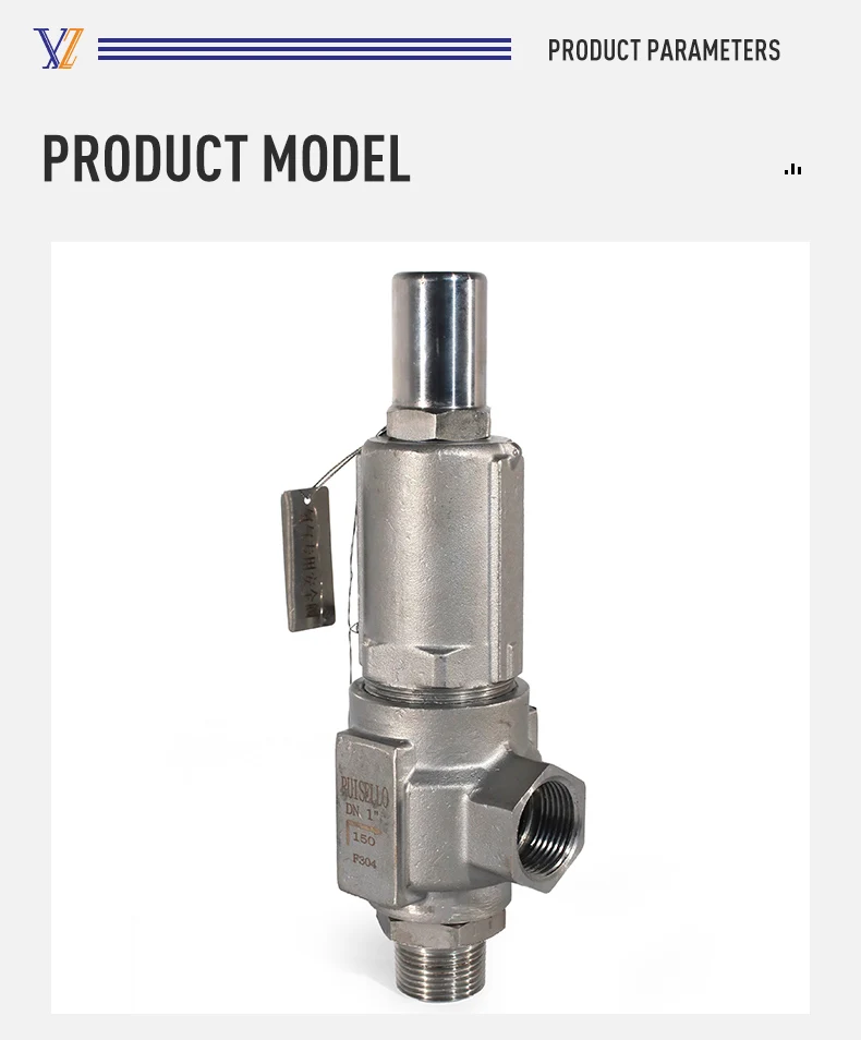 1.4404 Gas Hydrogen Safety Valve - Reliable Filtration
