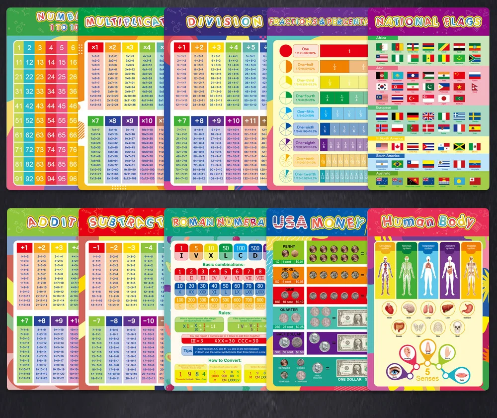 12 Educational Posters - Laminated Wall Stickers for Kids