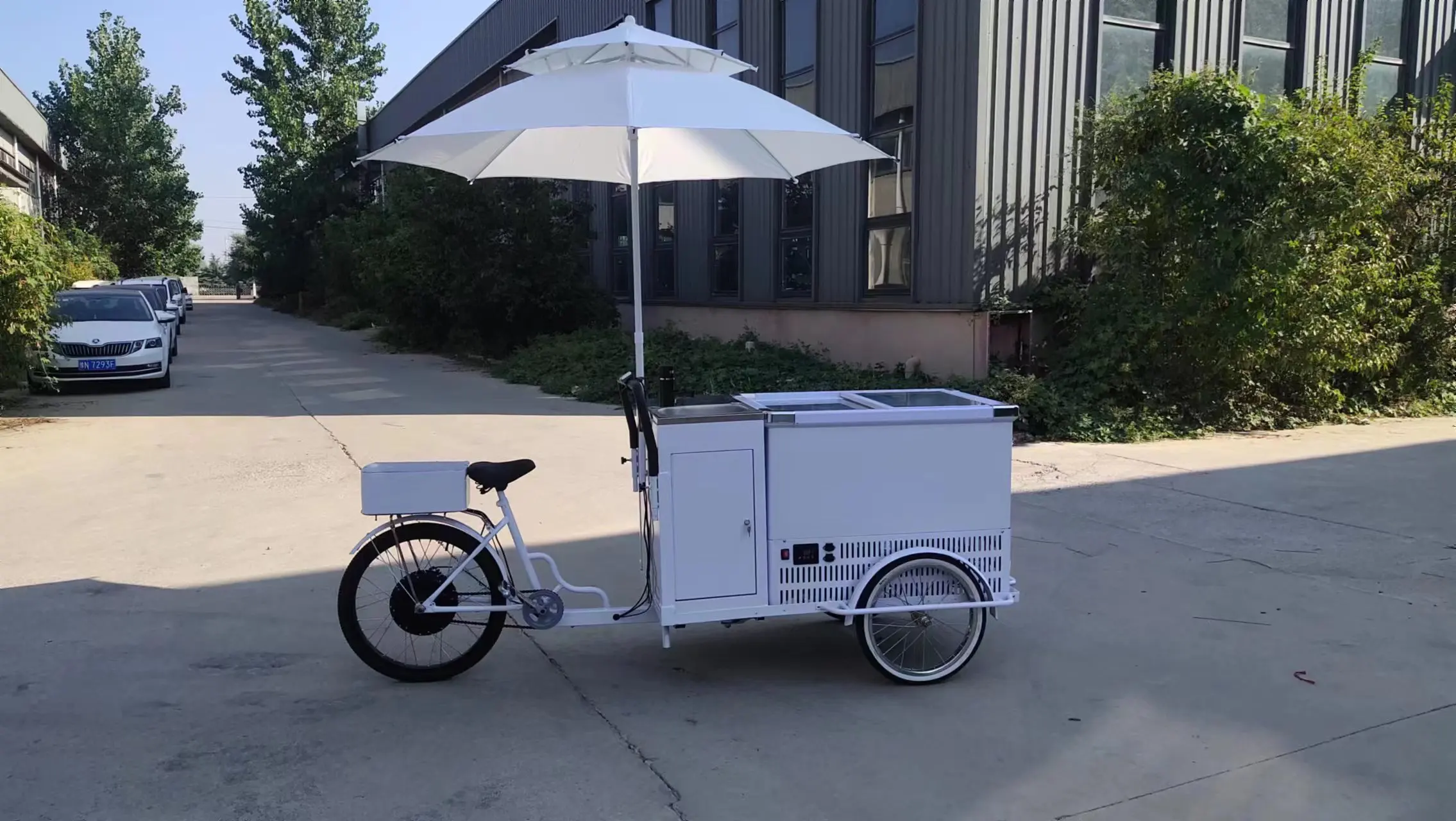 3 Wheel Electric Cargo Bike Mini Cold Room 48v Freezer Scooter ...