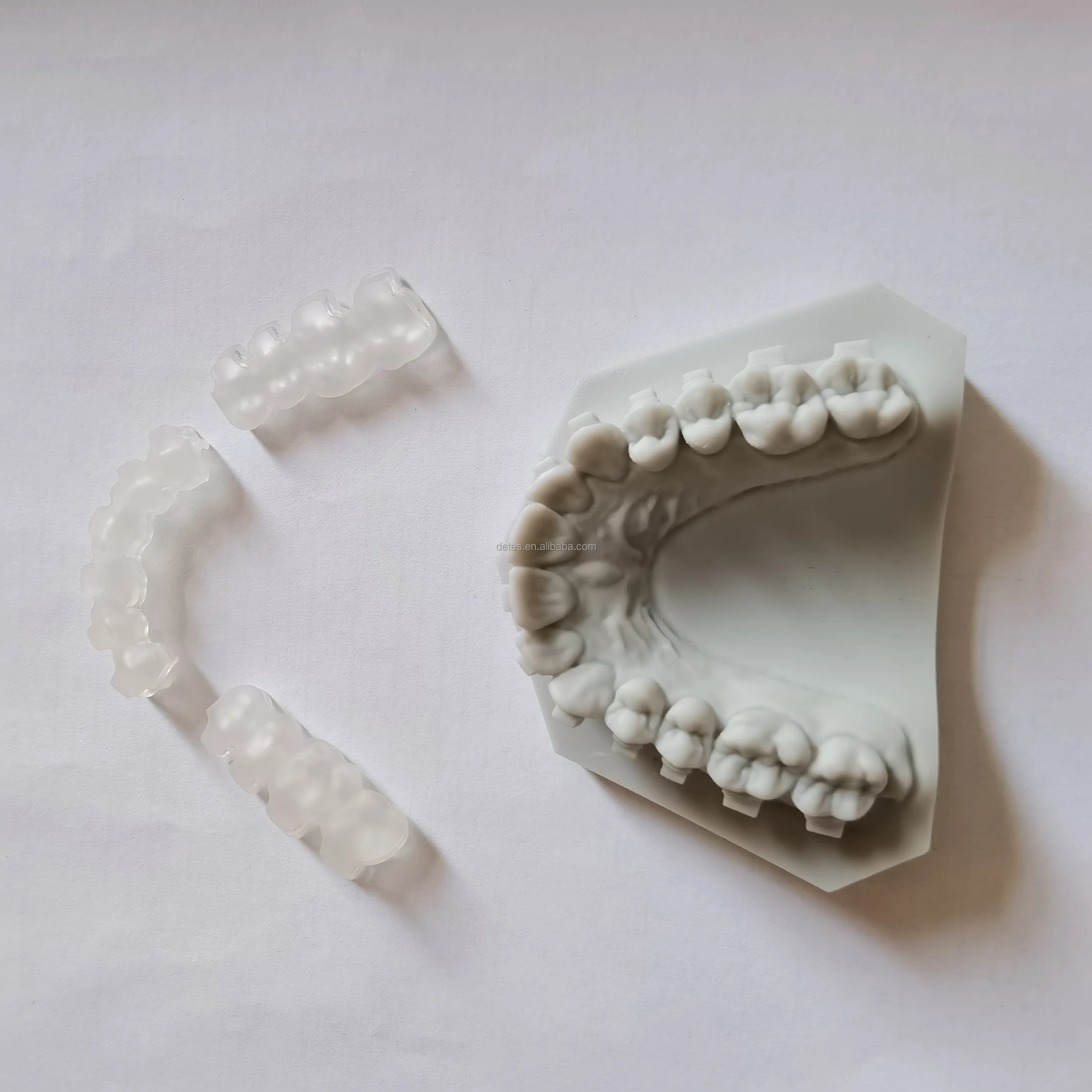 Removable Full Denture Gingival Mask Splint Orthodontic Model Porcelain ...