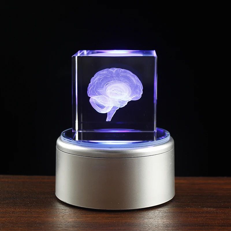 Vivid Laser Engraved 3d Crystal Brain Cube For Educational Use