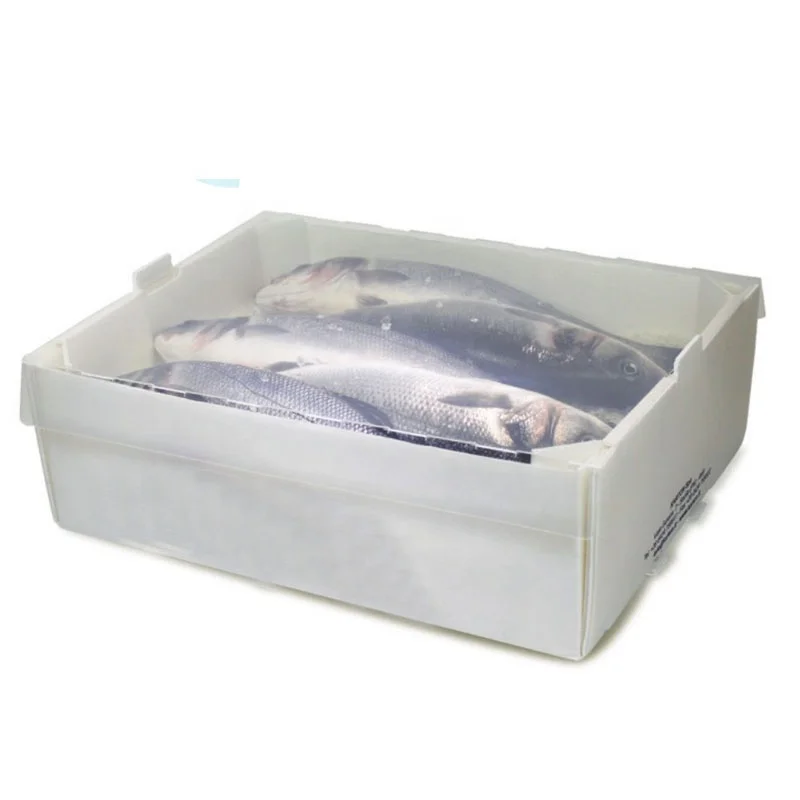 Plastic Corflute Seafood Shipping Container Live Fish Shipping Box ...