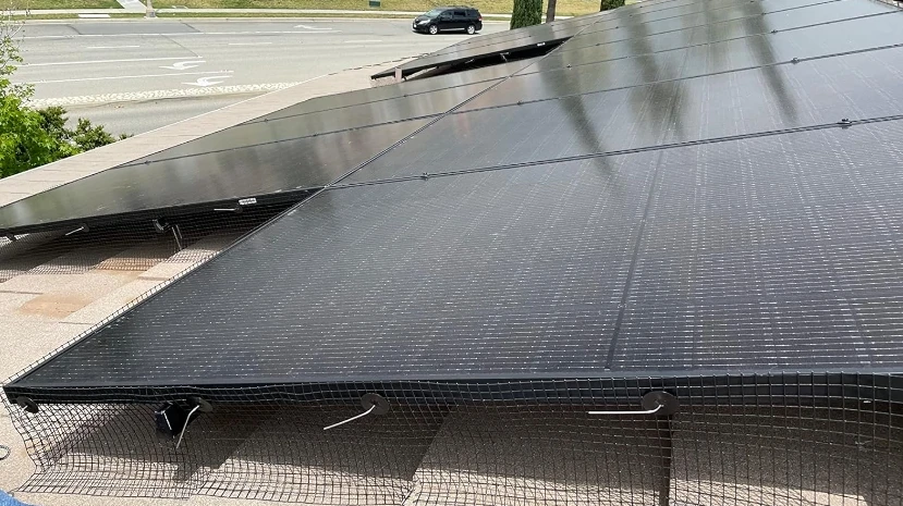 Customizable Black PVC Coated Iron Wire Mesh Bird Critter Guard for ...