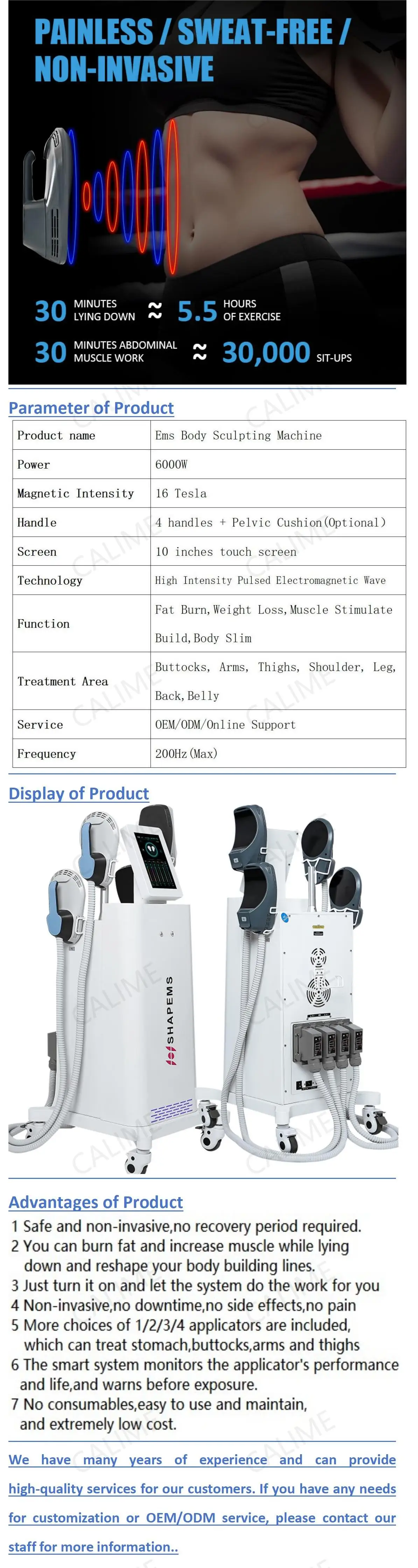 Professional Ems Body Slim Machine Muscle Stimulator Build Fat Burn ...