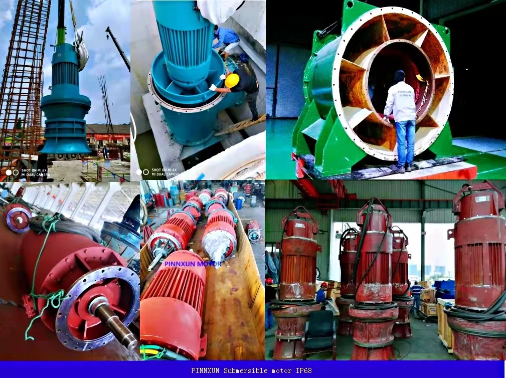 IP68 Electric Motor - Submersible Induction Motor 110KW-1400KW