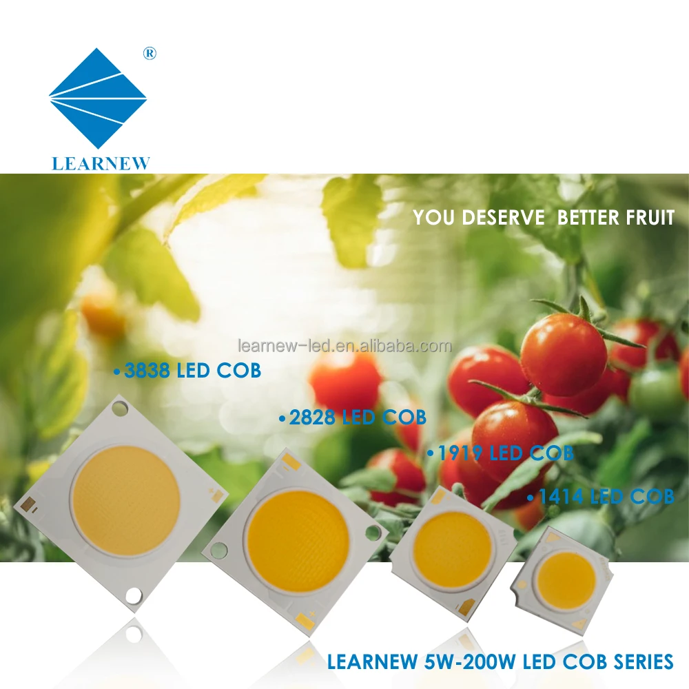 High Power LED COB Chips - 50W to 6000W Full Spectrum