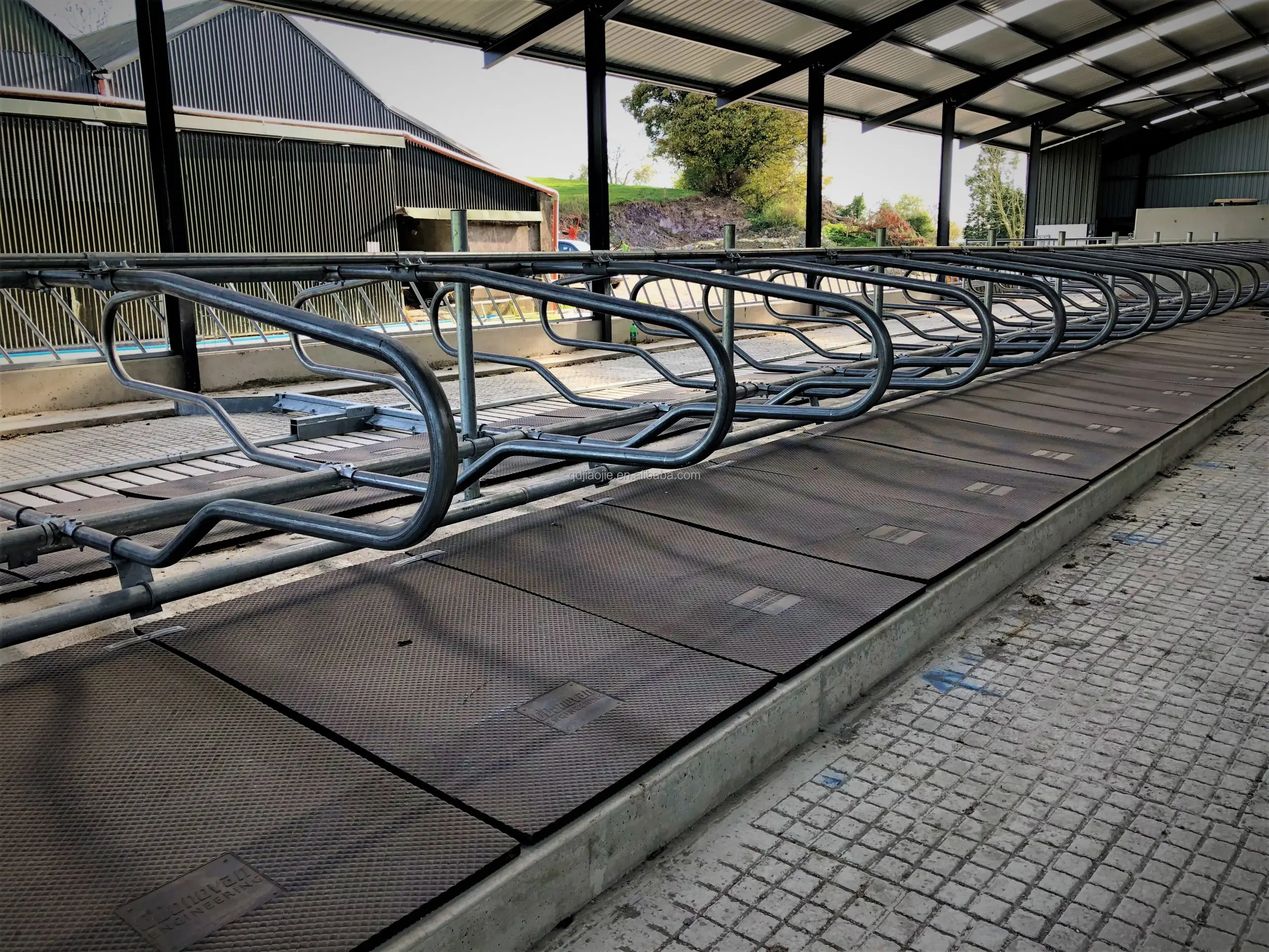 Galvanized Steel Cattle Freestall Farm Stalls - Durable Livestock ...