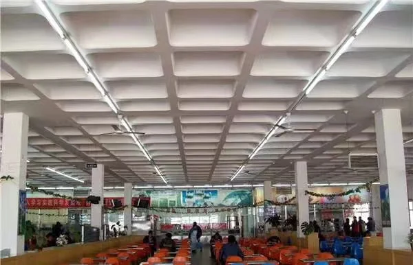 Eco Friendly Construction Ceiling Formwork System Plastic Shutter ...