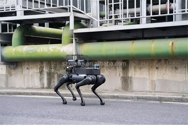 Unitree B1 Bionic Intelligent Robot Human-computer Interaction ...